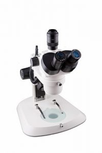 Dissecting Microscope Parts And Functions. All You Need To Know