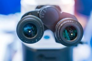 Microscope Reticle | Fitting, Calibrating, Reticle Diameters And Varieties