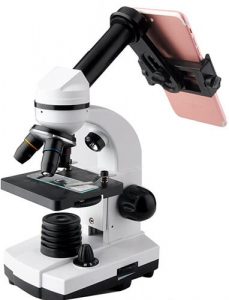 5 Best Microscope Phone Adapters In 2025 | Like Hubble