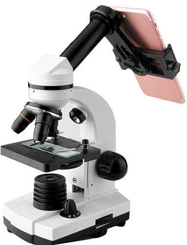 5 Best Microscope Phone Adapters In 2025 | Like Hubble